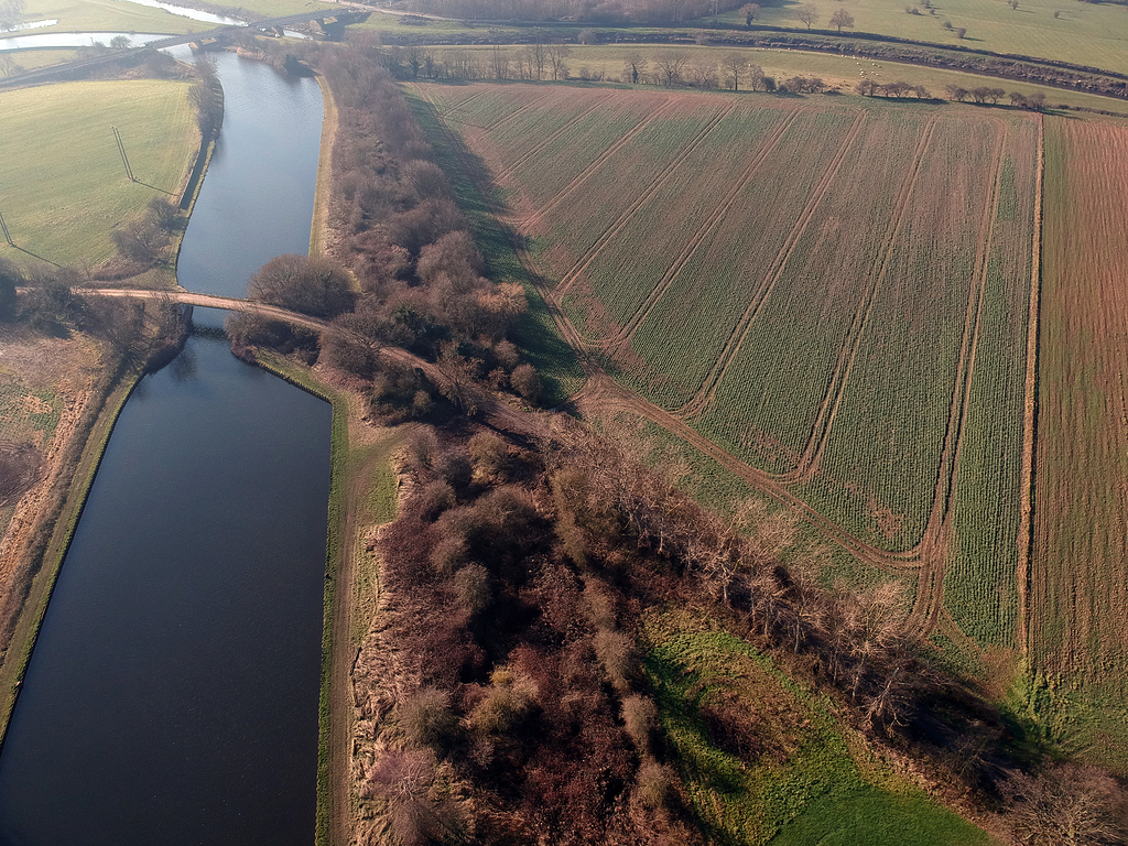 Some of my first Jpeg shots unedited along canal Kirk Bramwith ...