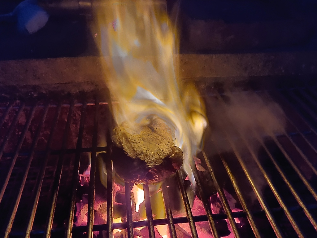 Yay! BBQ season has begun! - Non-drone Photos & Video - Grey Arrows ...