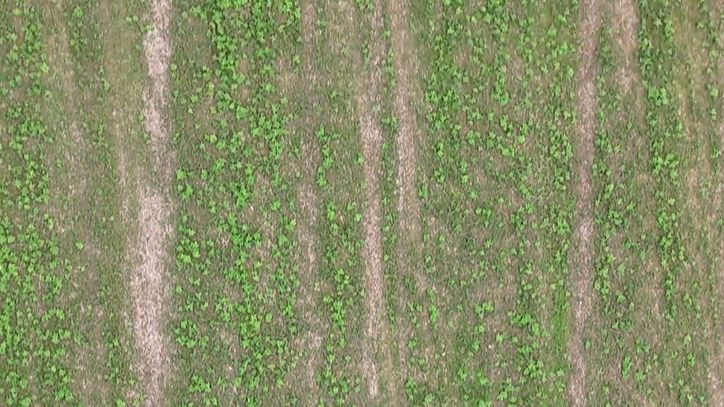 Old Syndale - Video and Photo Editing - Grey Arrows Drone Club UK