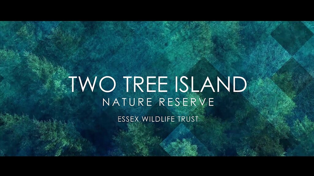 Two Tree Island - Added to Coastal Scenery in East of England - Where ...
