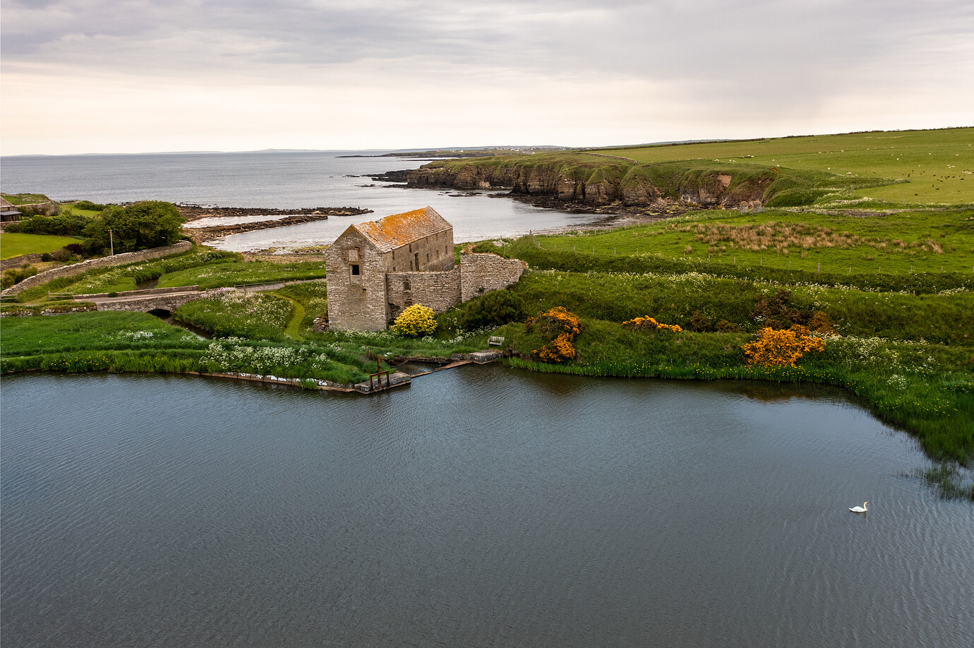 Ham Mill Pond - Added to Everything Else in Scotland - Where to fly ...