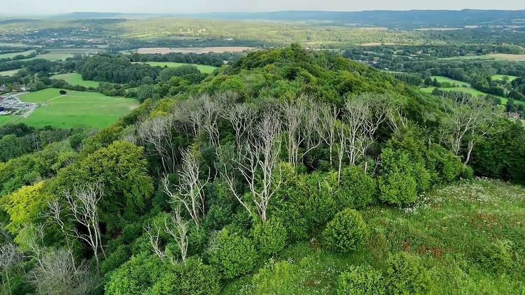 Ashford Hangers - Added to Areas of Outstanding Natural Beauty in South ...