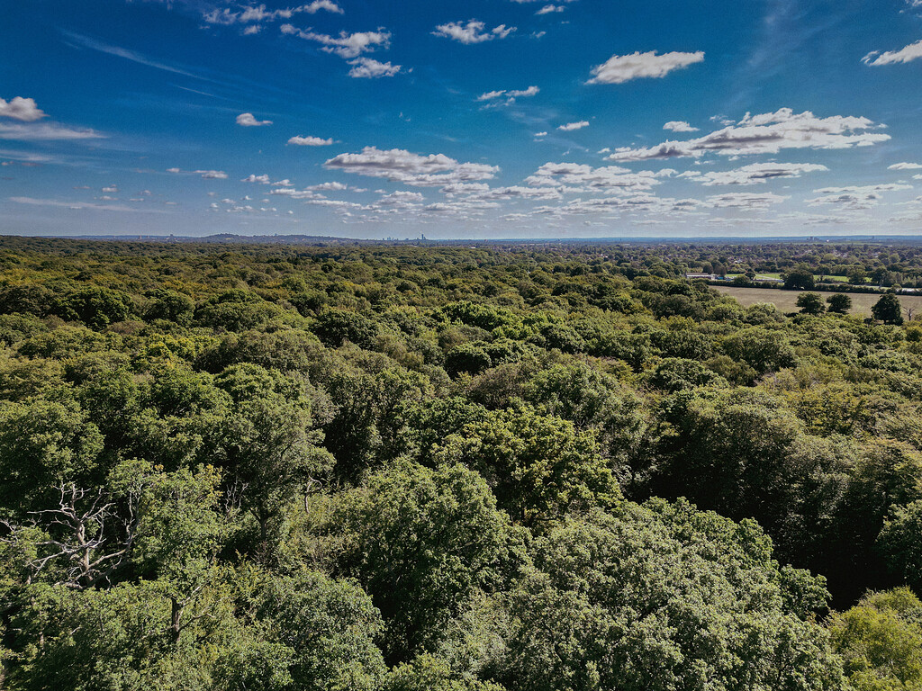 Mini 3 pro. Ruislip woods - Photos by Drone - Grey Arrows Drone Club UK