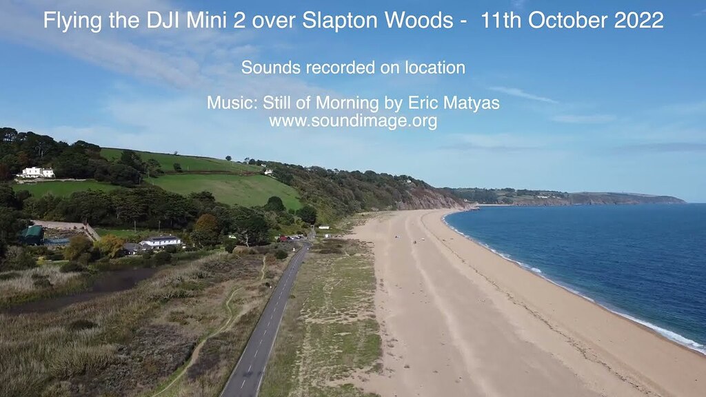 Slapton Woods October 11th 2022 - Videos by Drone - Grey Arrows Drone ...