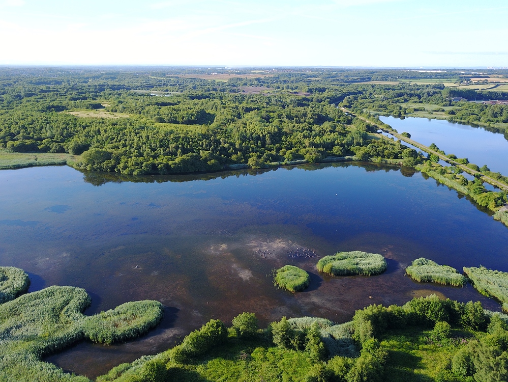 Parbold Hill - Added to Forests and Trees in North West - Where to fly ...