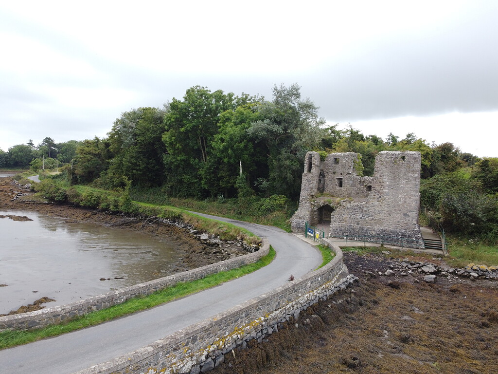 Mahee Castle - Added to Historic Buildings in Northern Ireland - Where ...