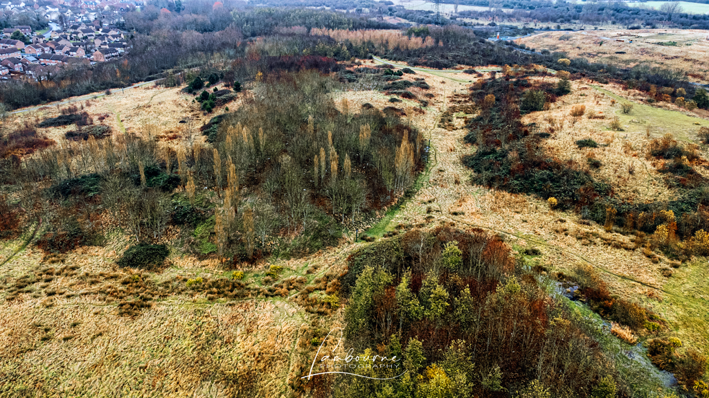 Shaw Forest Park - Added to Forests and Trees in South West - Where to ...