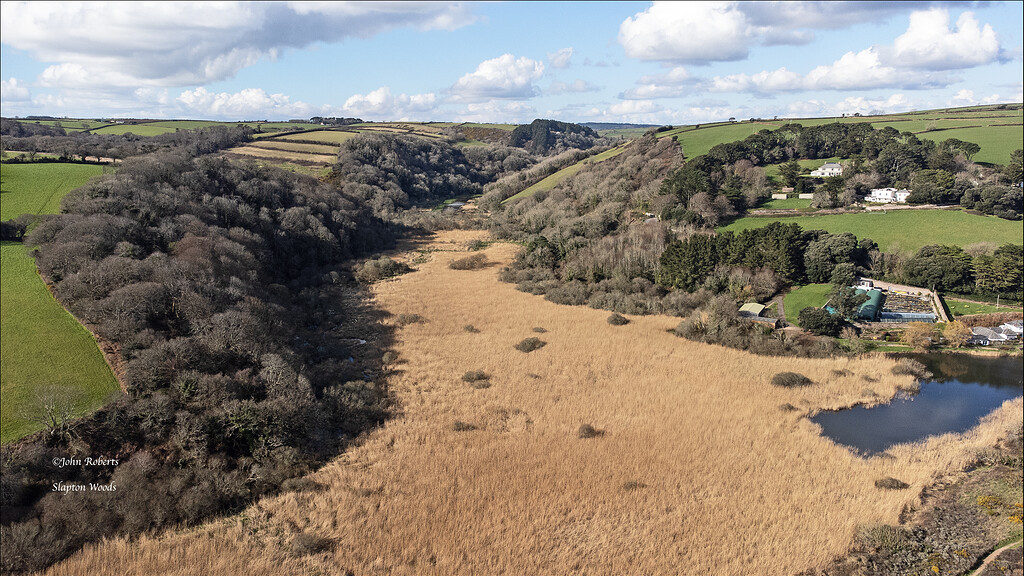 Slapton Woods - Photos by Drone - Grey Arrows Drone Club UK