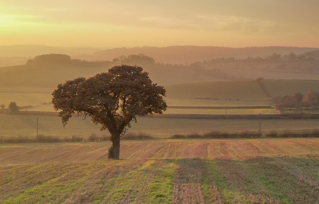 Pentrich, nr Ripley, Derbyshire - Added to Forests and Trees in East ...