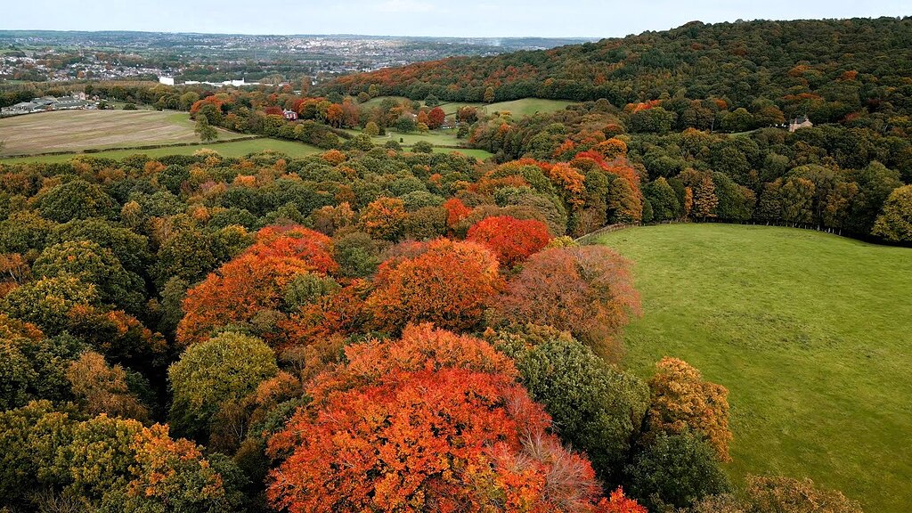 Autumn Colours in West Yorkshire - Videos by Drone - Grey Arrows Drone ...