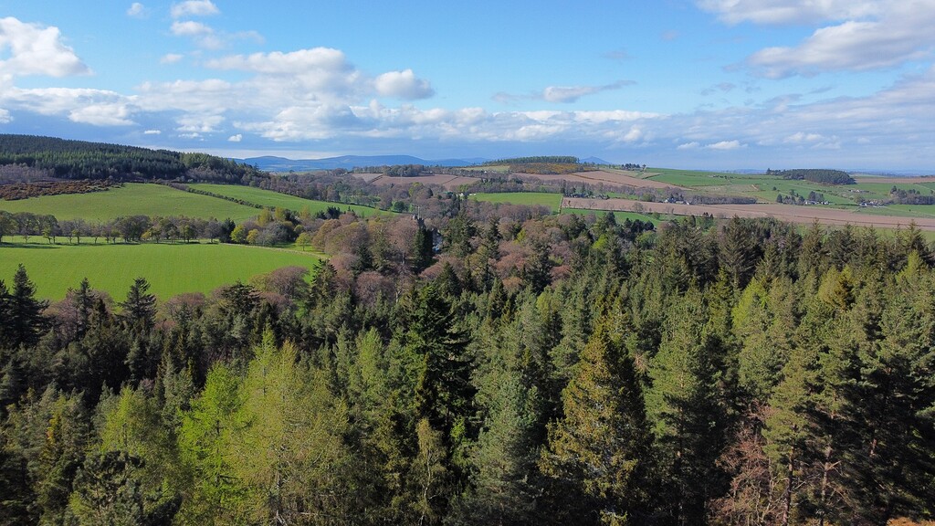 Mid mar Forrest, Aberdeenshire - Added to Forests and Trees in Scotland ...