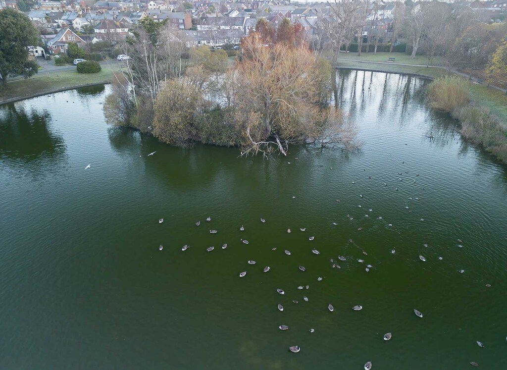 Hailsham common pond - Photos by Drone - Grey Arrows Drone Club UK