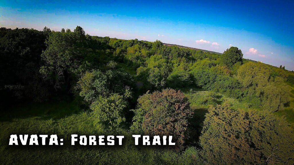 Avata - First forest trail - Videos by FPV Drone - Grey Arrows Drone ...