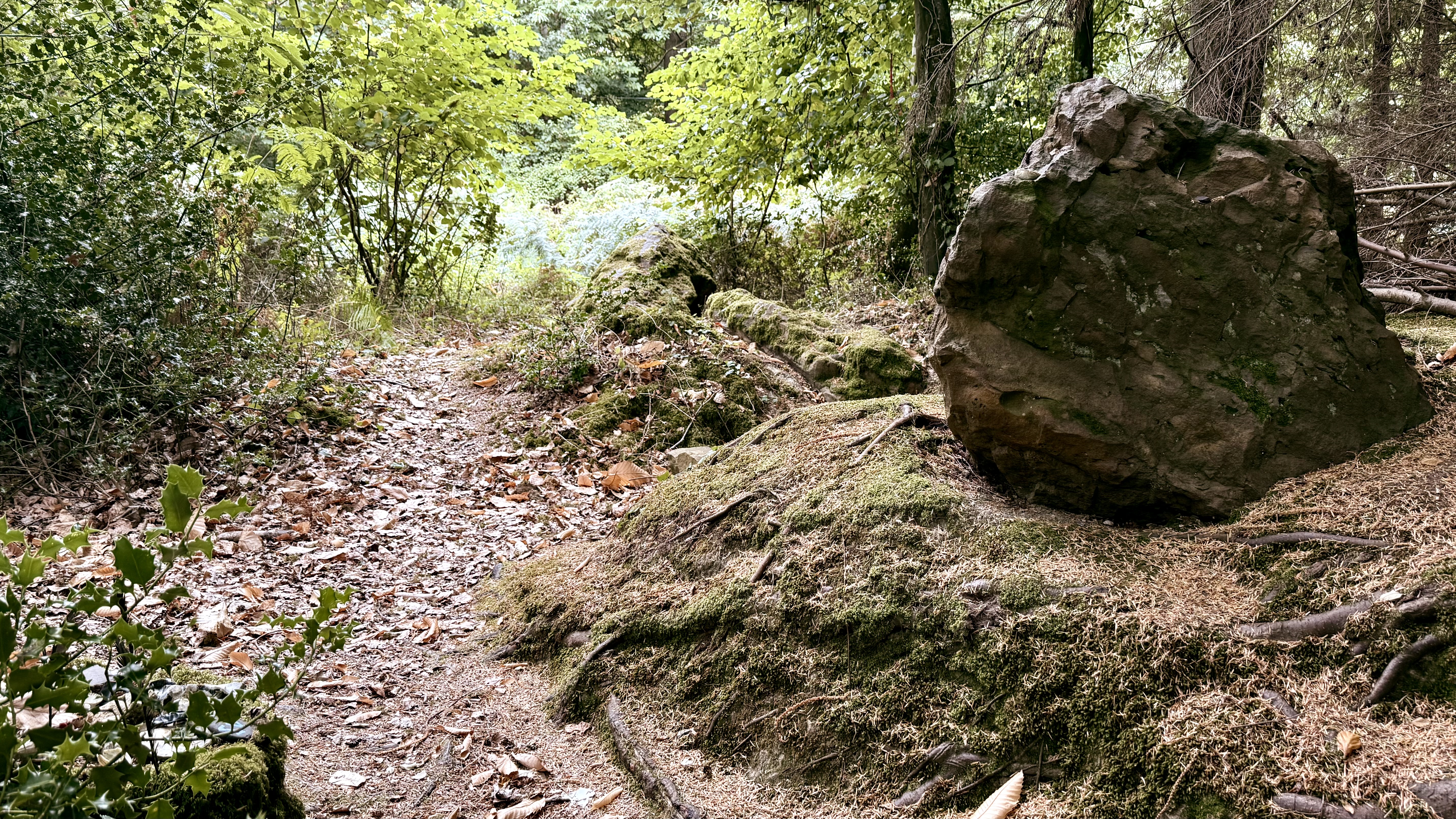 Rempstone woods and stone circle - Added to Areas of Outstanding ...