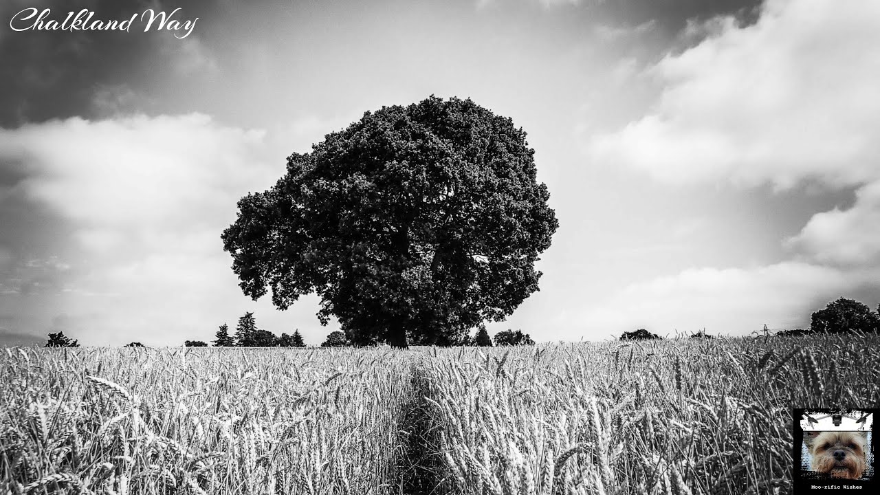 Yorkshire Chalkland Way: Hidden Gems Along the Path Hanging Grimston ...