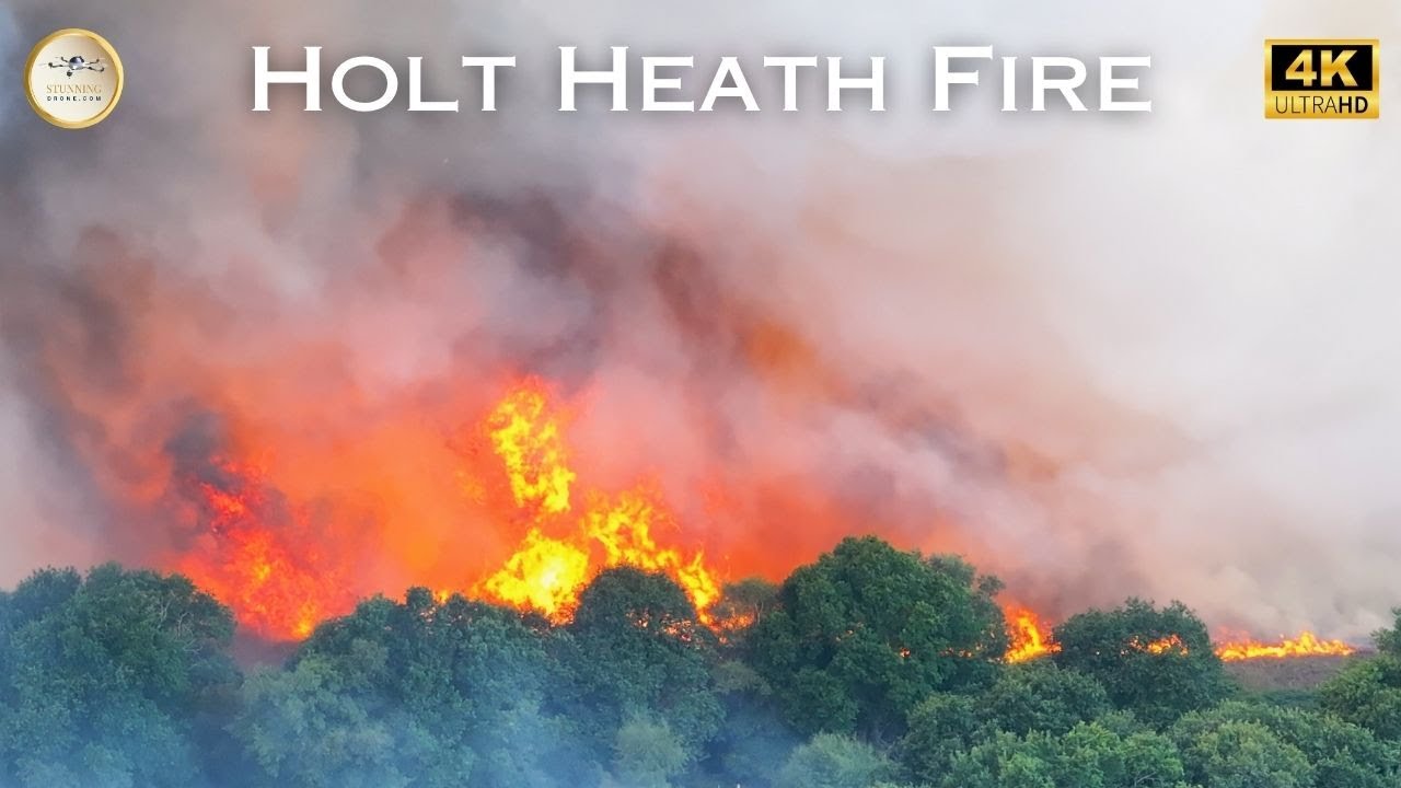 Video footage of the Holt Heath Fire as seen on TV - Videos by Drone ...